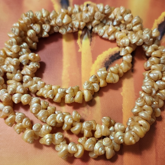 Jewelry | Vintage Trochus Shell Necklace | Poshmark